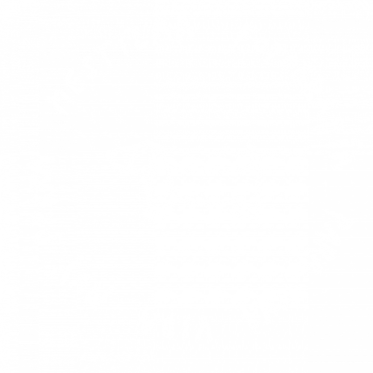 MESTIZAA – Fotografía para una vida muy perra.