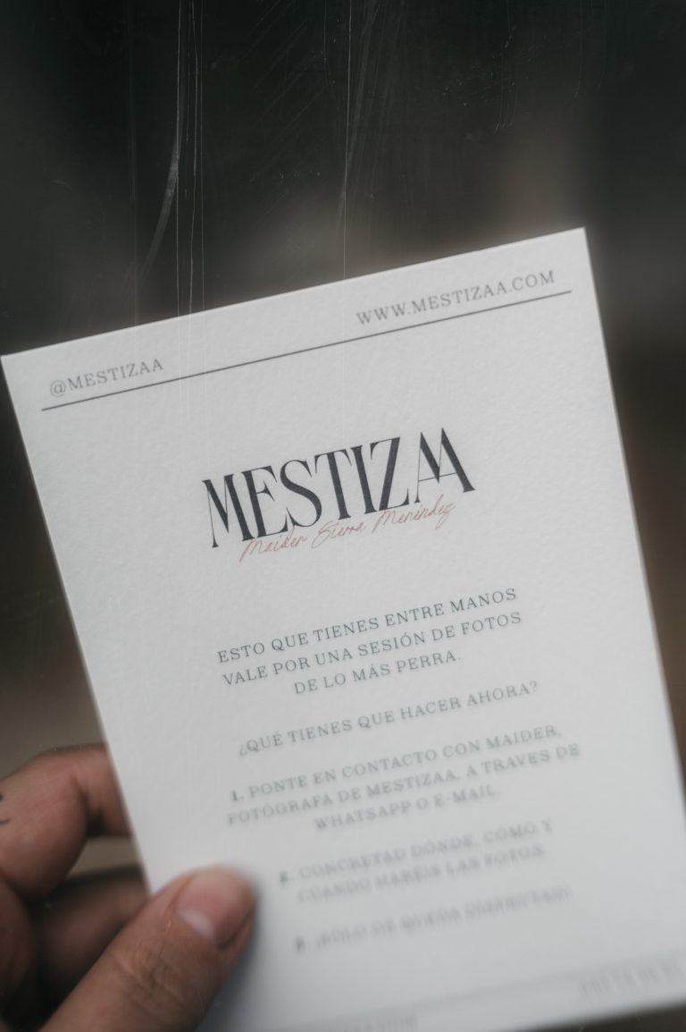 Servicios – MESTIZAA